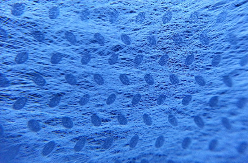 PP Spunbond Nonwoven – Ramder Nonwovens